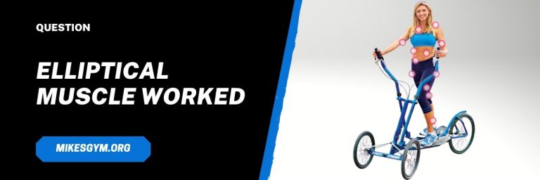 Elliptical Muscles Worked. Tips For Getting The Most Out Of Your ...